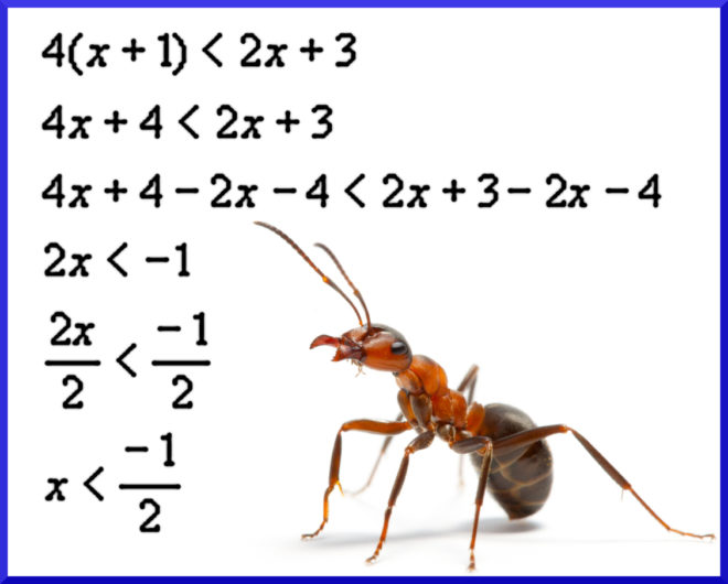 Of Ants and Algebra – Religion Refuted
